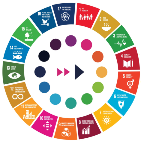 SDG-Wheel-with-content9741 | SDG Nederland