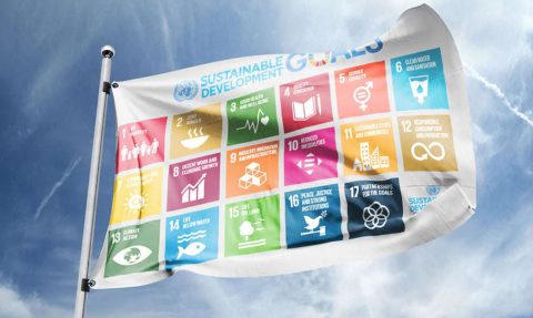 International Flag Campaign: raise your flag for the SDG’s!